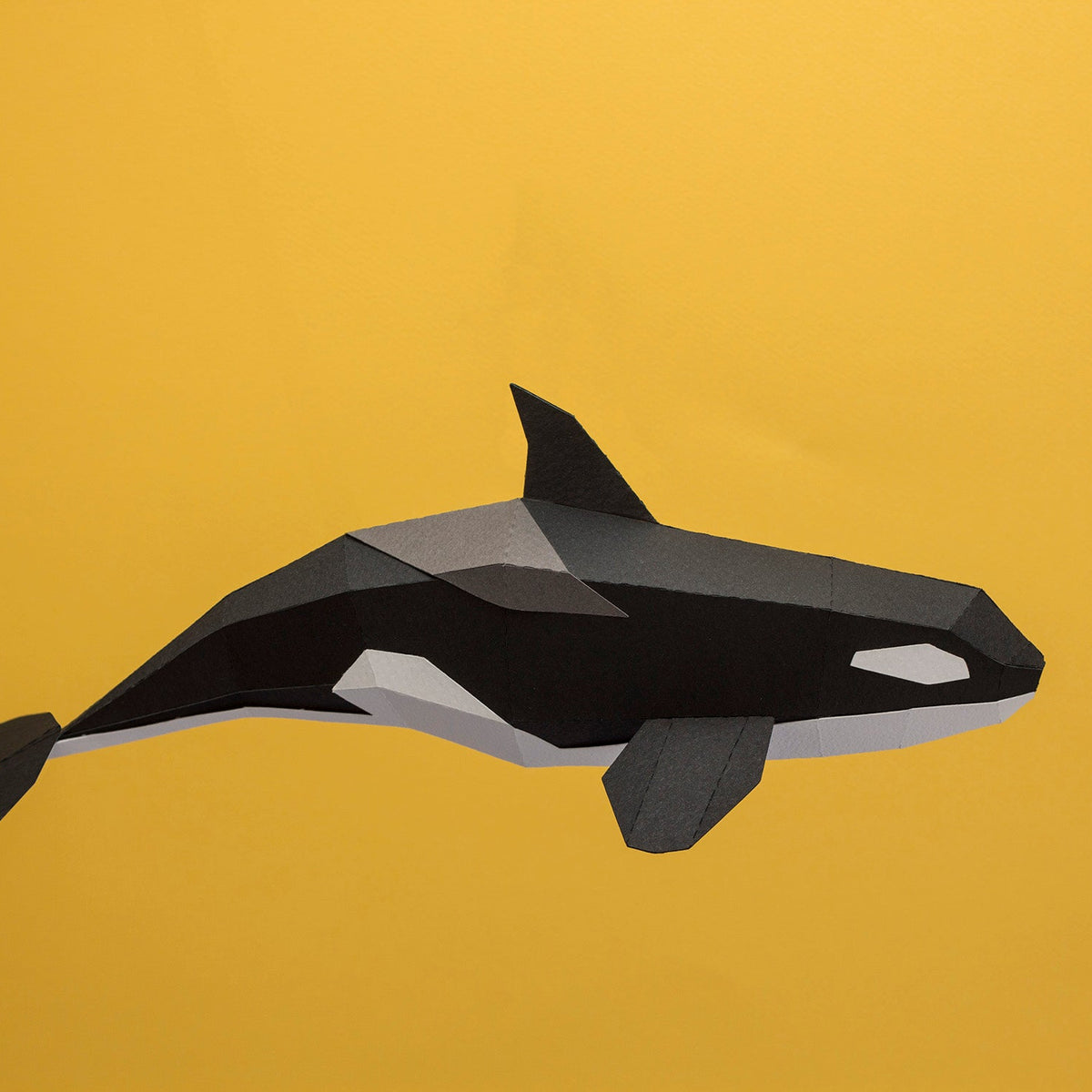 Orca de papel para armar – Malba Tienda